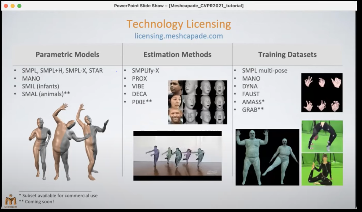 Overview of Parametric Human Body Models | Tejaswi's blog